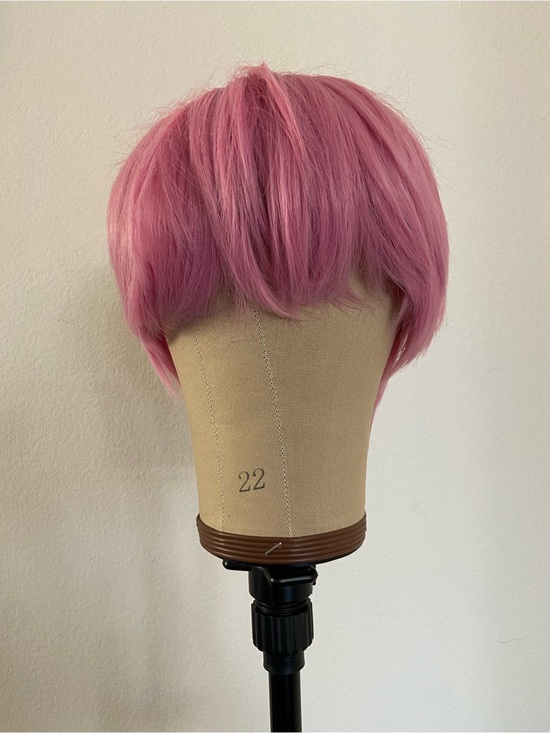 Dora Daisy | Hair | Bubblegum Pink Short Synthetic Wig | Poshmark